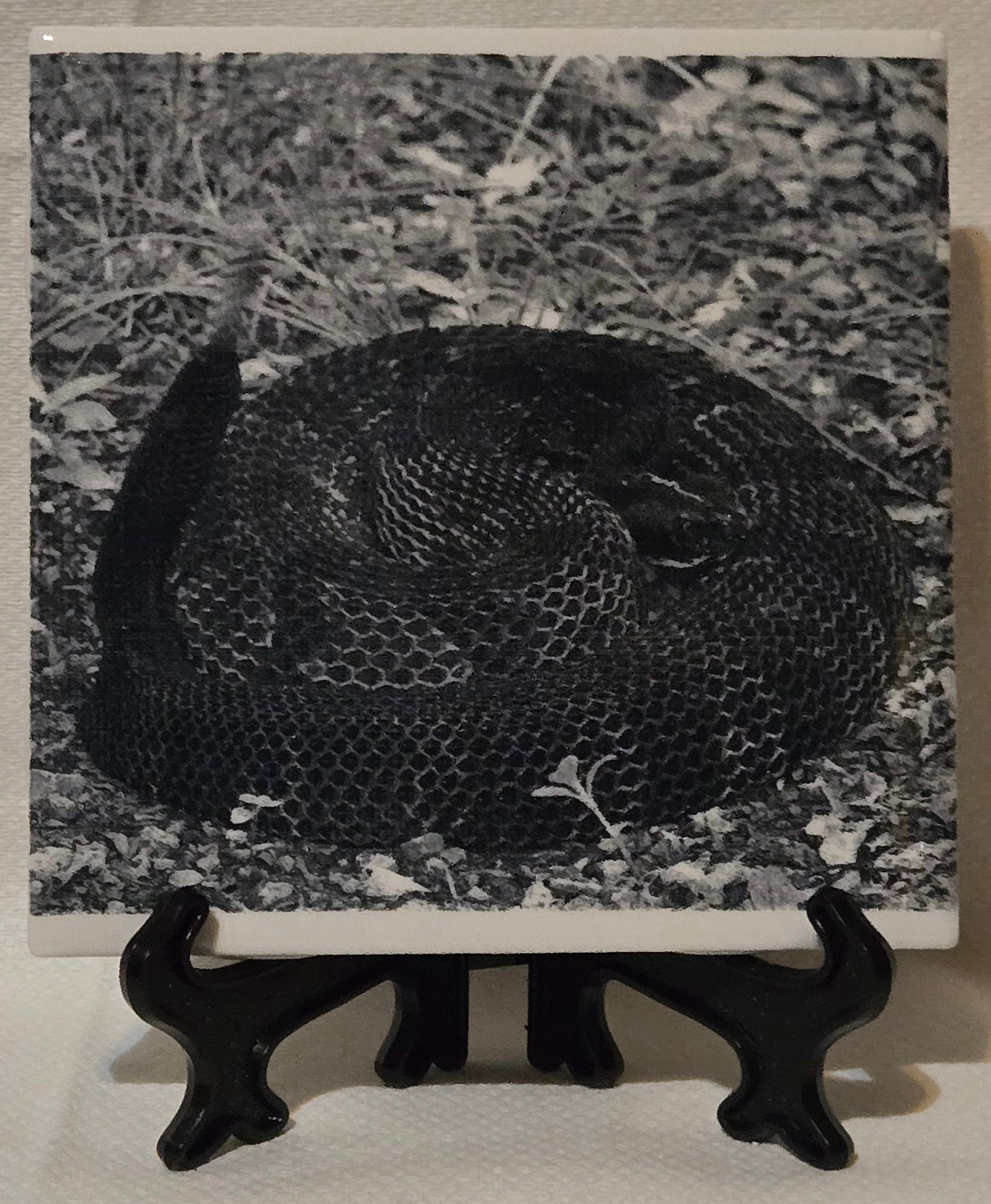 Rattlesnake laser engraved tile | JLJ Creations